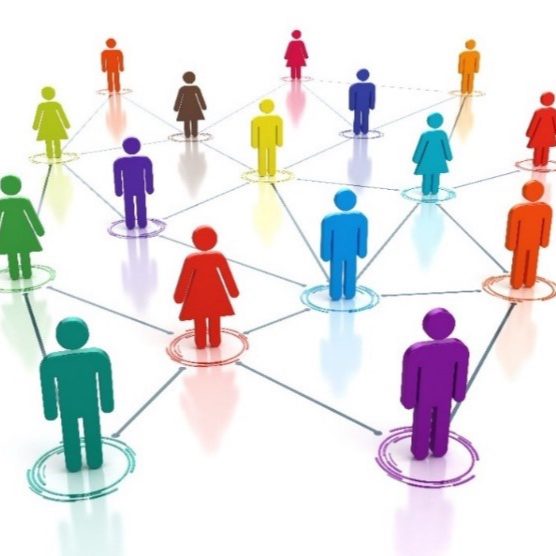 BactiVac Catalyst Training Awards - Immunization Economics