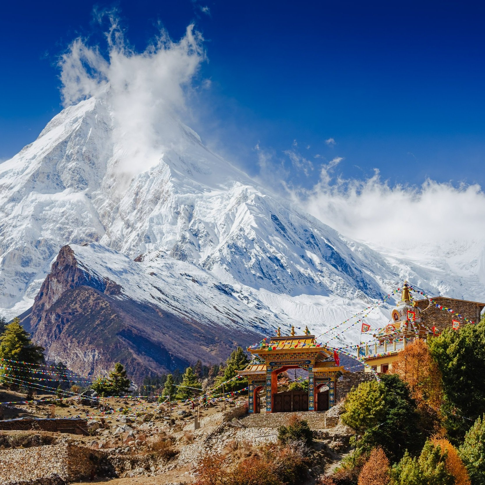 Health Specialist (Health and Immunization Financing) at UNICEF in ...