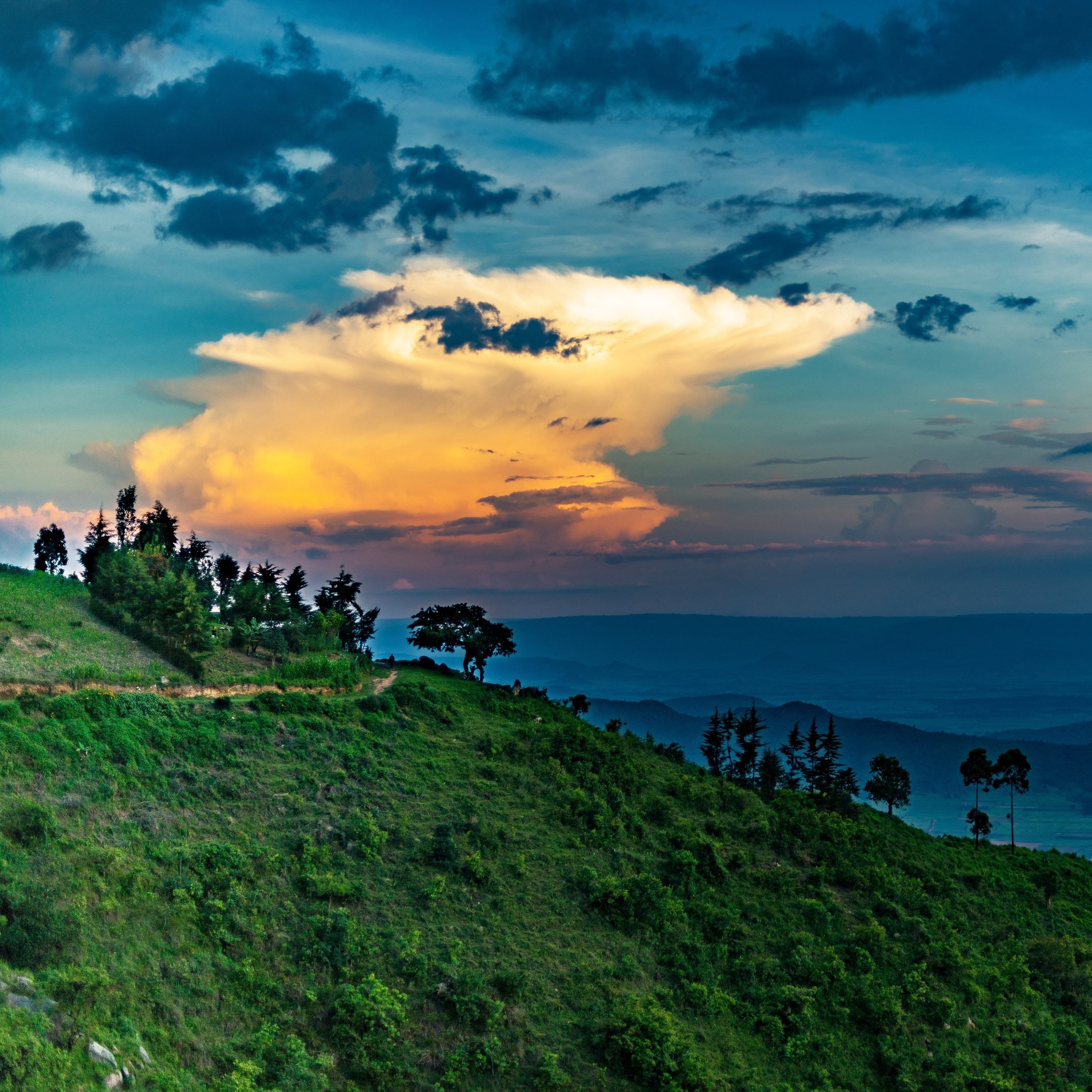 Estimating the cost-effectiveness of maternal vaccination and ...