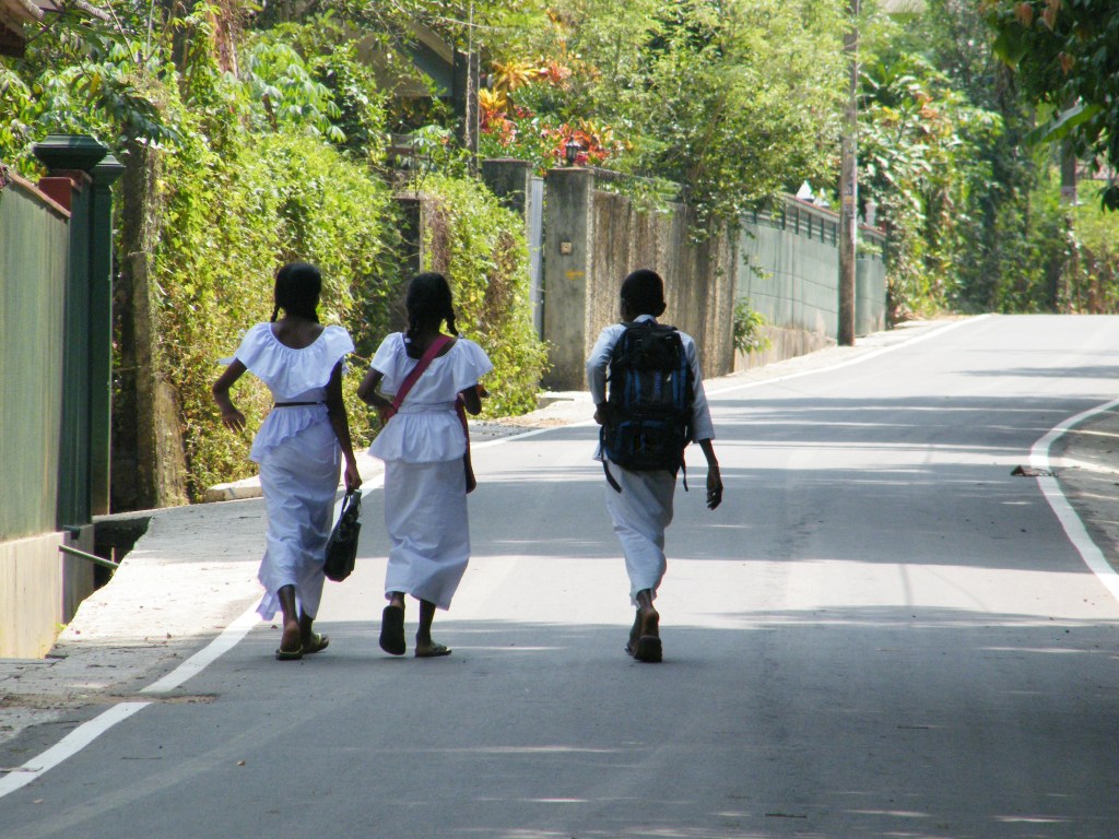 Ongoing costs and operational context of a routinized HPV vaccination program in Sri Lanka ...