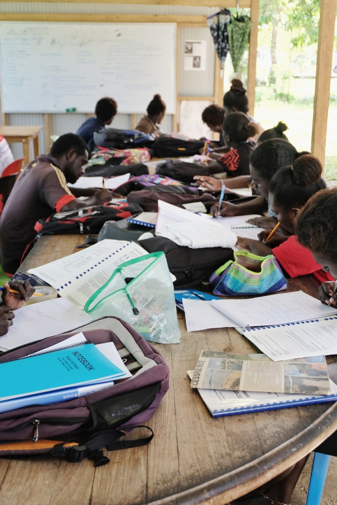 RFP: Civil Society Organization led advocacy for PHC & immunization financing in Papua New ...