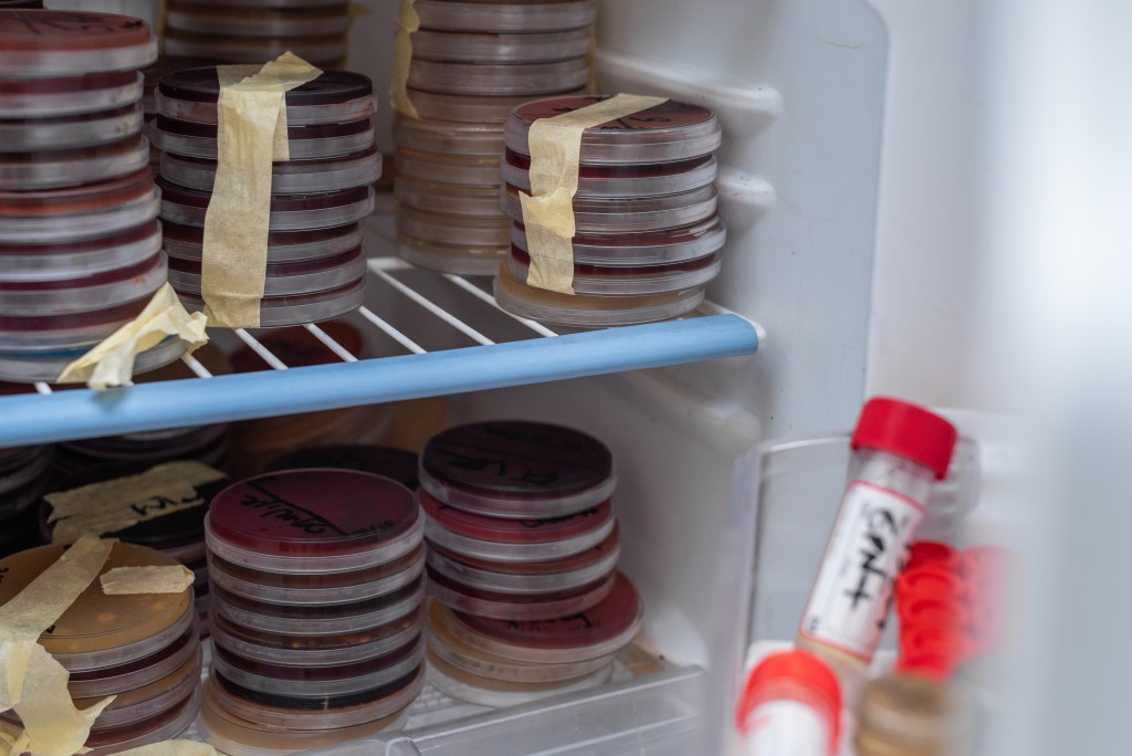 Vaccines and AMR: An analysis of the funding landscape for human ...